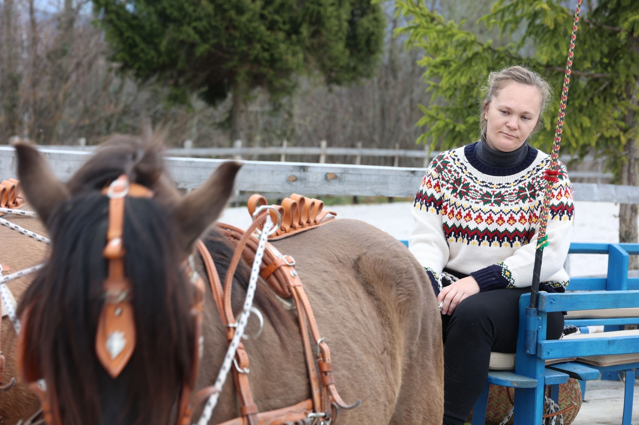 Džigal-Bektešević: Putovanje kolima koje vuku bosanski brdski konji ...